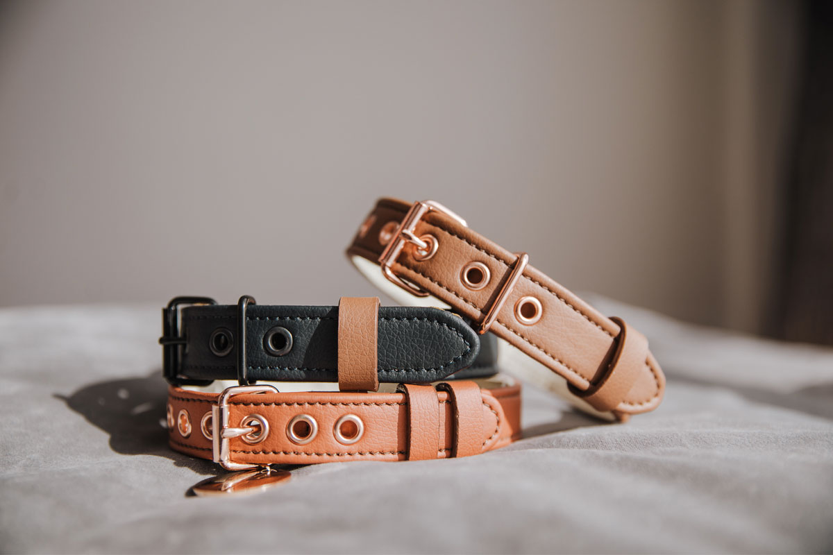 Handcrafted accessories for a beloved four-legged friend - WaggingTail.eu